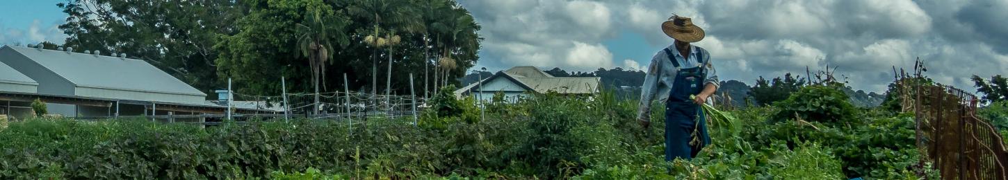 The Northern Rivers Food Harvest Food | The Official ByronBay.com Guide