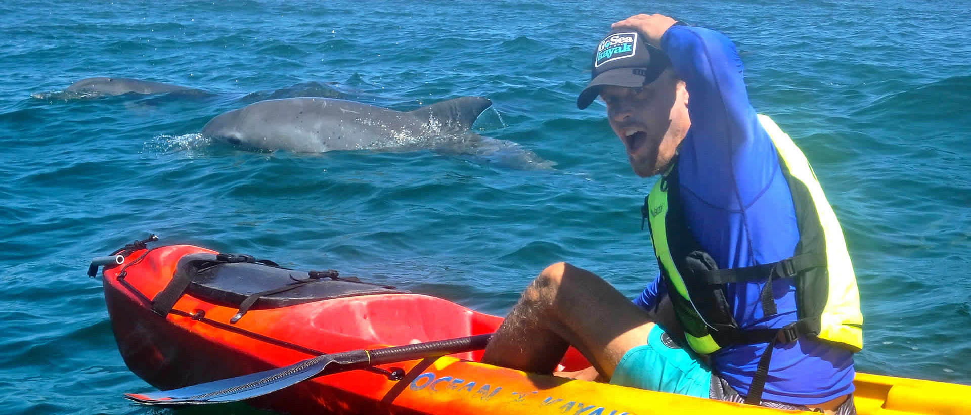 Go Sea Kayak Byron Bay | The Official ByronBay.com Guide