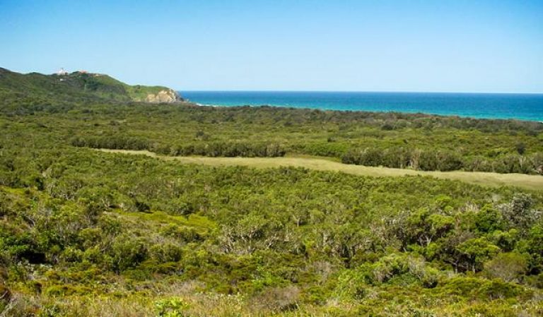 Byron Bay National Parks | The Official ByronBay.com Guide