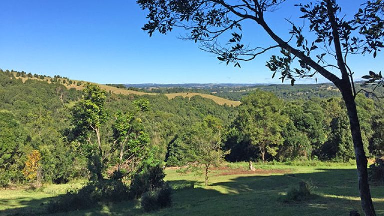 Explore two waterfalls near Byron Bay | The Official ByronBay.com Guide