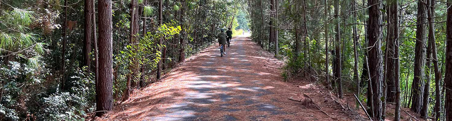 The Northern Rivers Rail Trail: a stunning Journey through Northern NSW ...