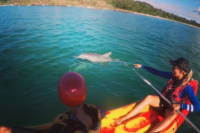 Kayaking with Dolphins in Byron Bay: The Original Byron Bay Dolphin ...
