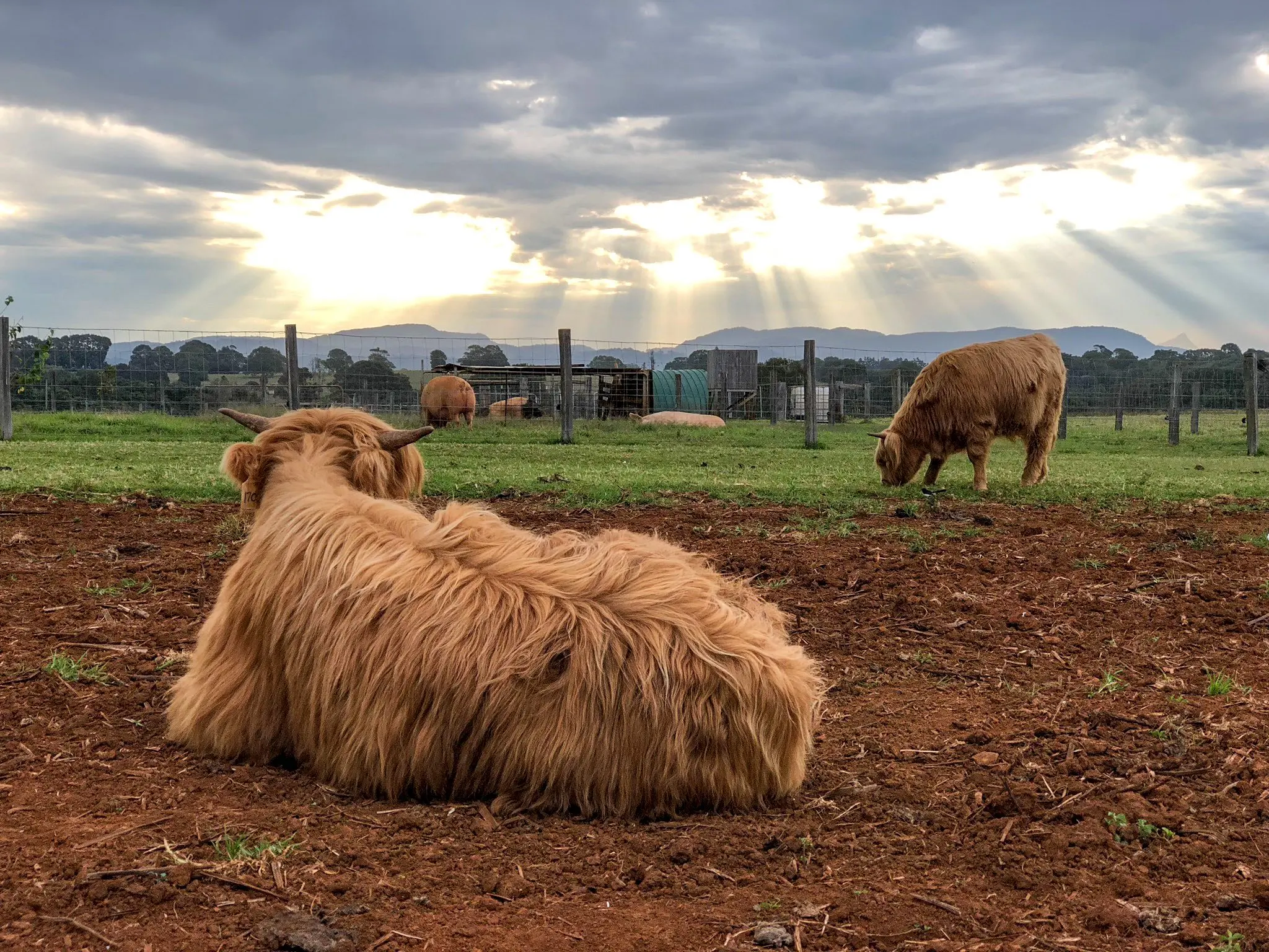 Celebrating 10 Years of The Farm Byron Bay: Growing, Feeding, and ...