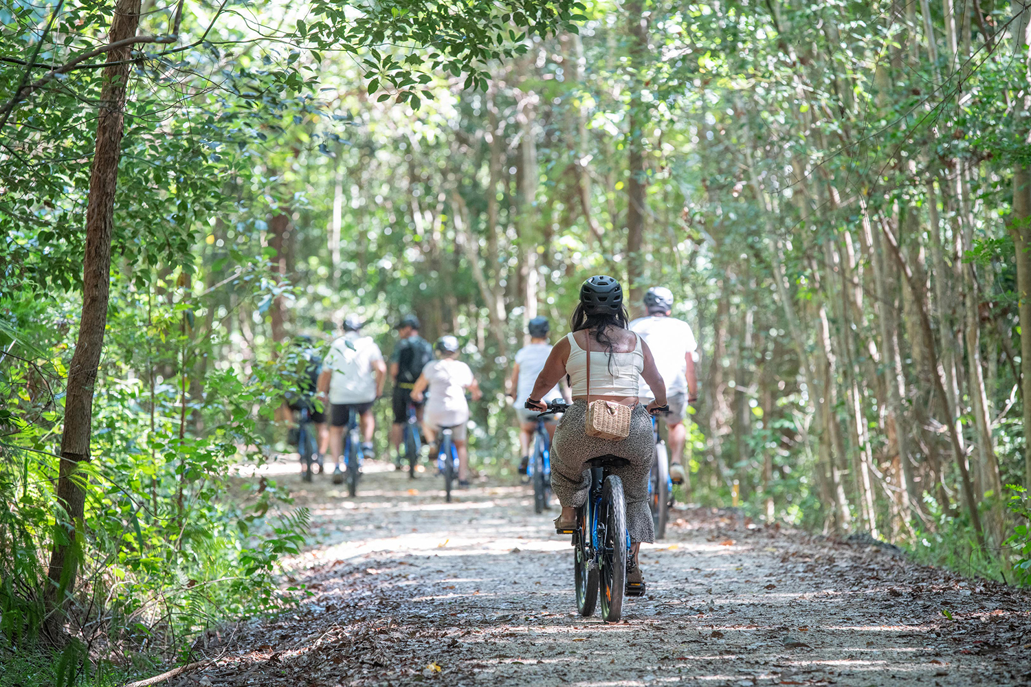 Better by Bike | The Official ByronBay.com Guide